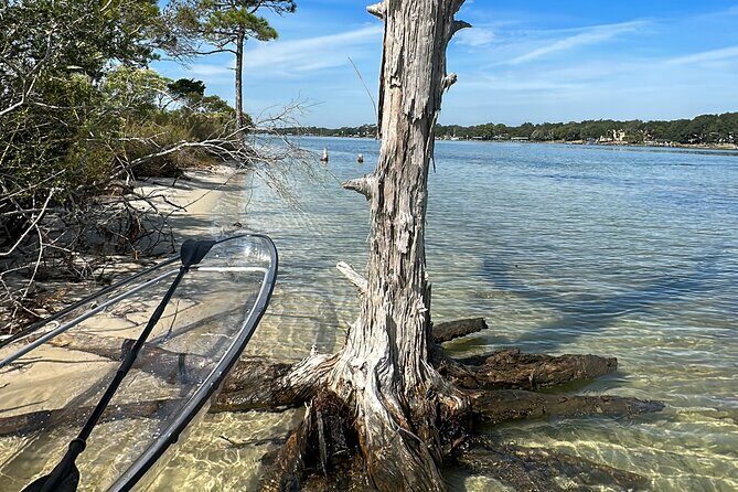 Clear Kayak Ecotour Destin Ft. Walton Beach - The Value Proposition