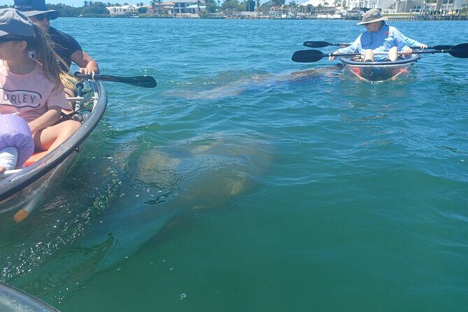 Clear Kayak Glass Bottom Day Tour - Sarasota - FAQs
