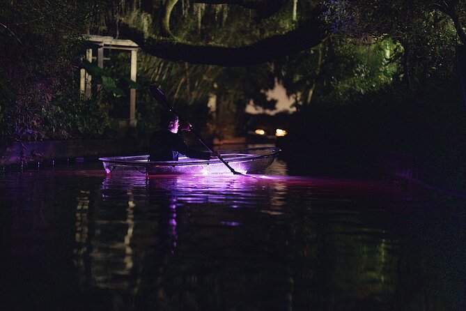 Clear Kayak Glow in the Dark Tour Through Winter Park - Positive Customer Feedback