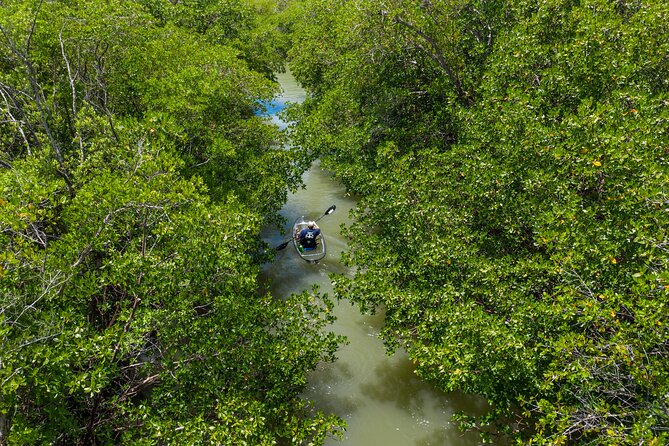 Clear Kayak Guided Eco Tour in North Naples - What You Can Expect from the Itinerary