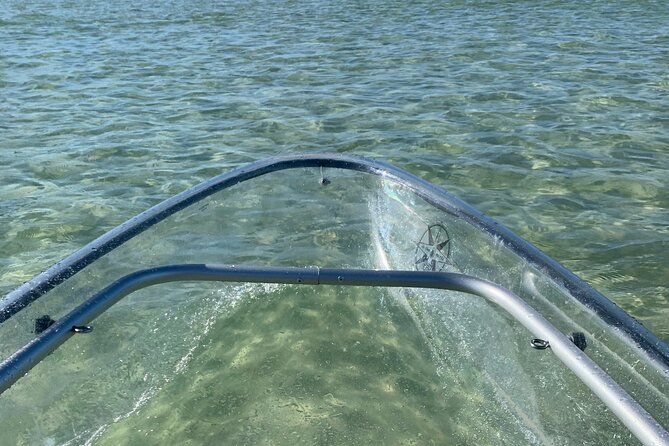 Clear Kayak Guided Eco Tour in North Naples - Who Will Enjoy This Tour?