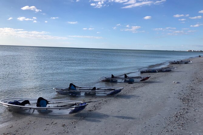 Clear Kayak Guided Eco Tour in North Naples - The Sum Up