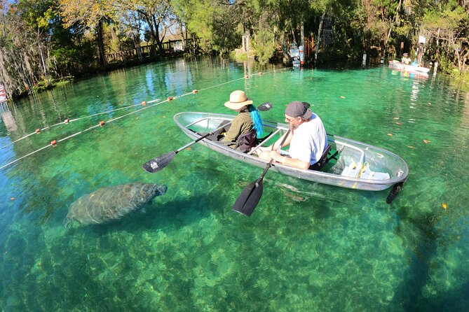 Clear Kayak Manatee Ecotour of Crystal River - Starting Point and Practical Details