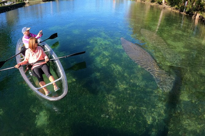 Clear Kayak Manatee Ecotour of Crystal River - The Setting: Crystal River’s Natural Beauty