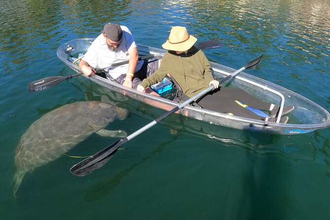 Clear Kayak Manatee Ecotour of Crystal River - Who Should Book This Tour?