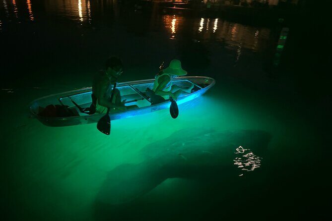 Clear Kayak Manatee Viewing Sunset and Glow Tour of Crystal River - Who Should Consider This Tour?