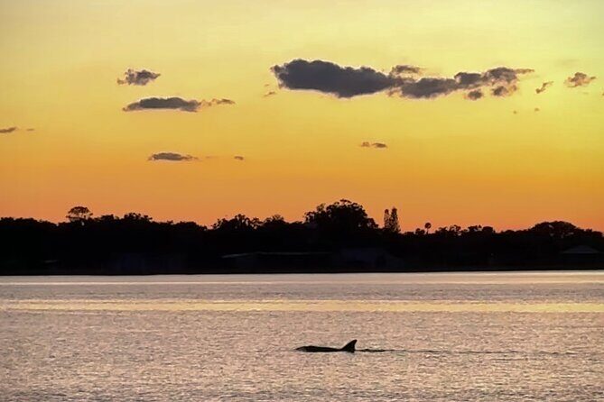 Clear Kayak Manatee Viewing Sunset and Glow Tour of Crystal River - The Sum Up