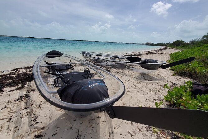 Clear Kayak Mangrove Eco Tour - Who Would Love This Tour?