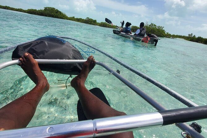 Clear Kayak Mangrove Eco Tour - Frequently Asked Questions