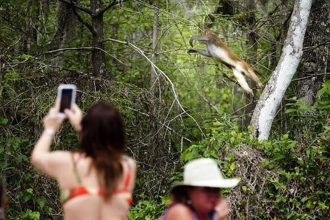 Clear Kayak or Paddleboard Manatee Adventure - Who Will Enjoy This Tour?