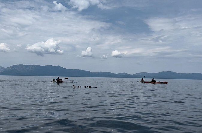 Clear Kayak Paddle Tour at Cave Rock - Authentic Experiences and Authentic Advice from Reviews