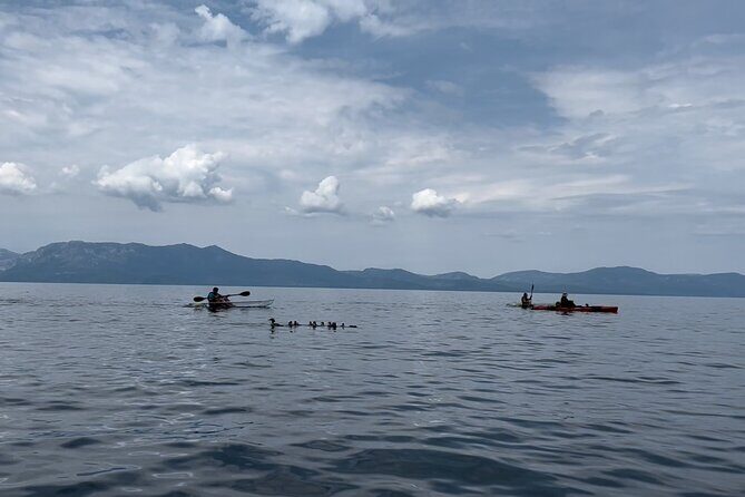 Clear Kayak Paddle Tour at Cave Rock - The Bottom Line: Who Should Consider This Tour?