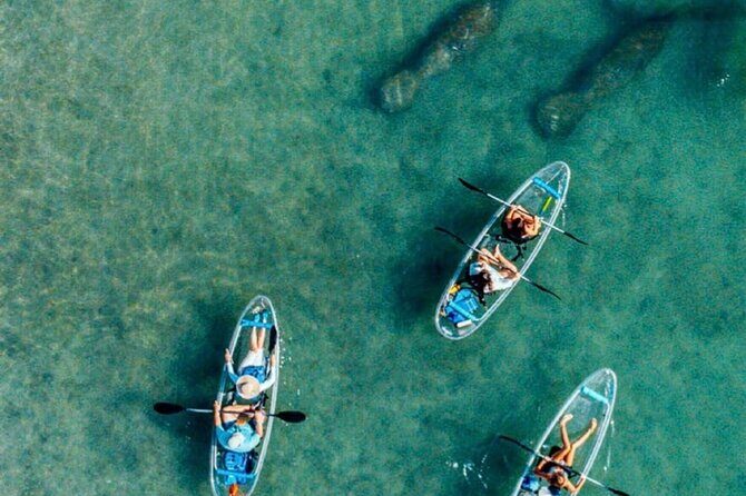 Clear Kayak Peanut Island Guided Tour Palm Beach Singer Island - A Complete Look at the Peanut Island Kayak Tour