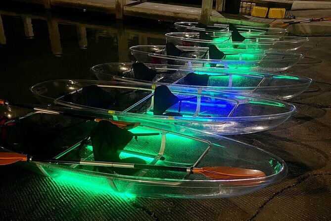 Clear Kayak Private Guided Day and Night Tours in Florida - Who Should Consider This Tour?