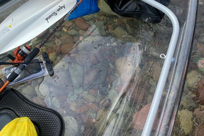 Clear Kayak Rentals for Flathead Lake - A Closer Look at the Flathead Lake Kayaking Experience