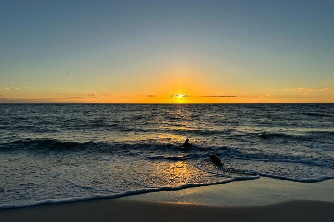 CLEAR Kayak Sunset & Light Tour - Bonita Springs / Ft Myers Beach - The Sum Up: Is This Tour Worth It?