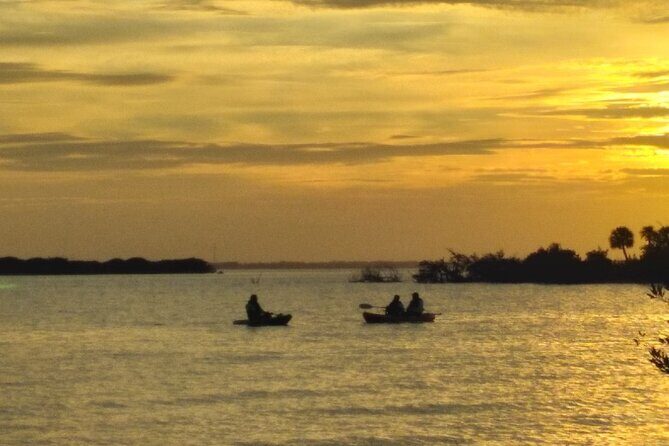 Clear Kayak Sunset Tour - Cocoa Beach - What to Expect During the Tour