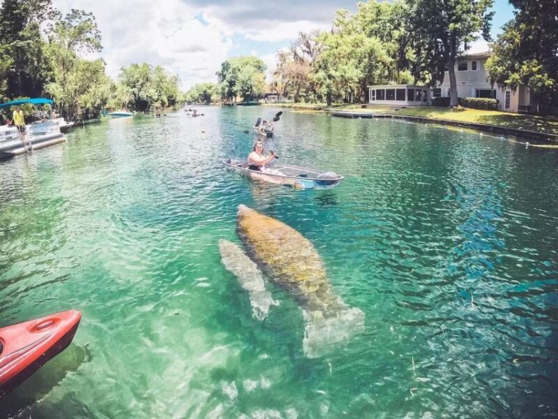 Clear Kayak Three Sisters Springs Ecotour of Crystal River - Practical Tips for Your Trip