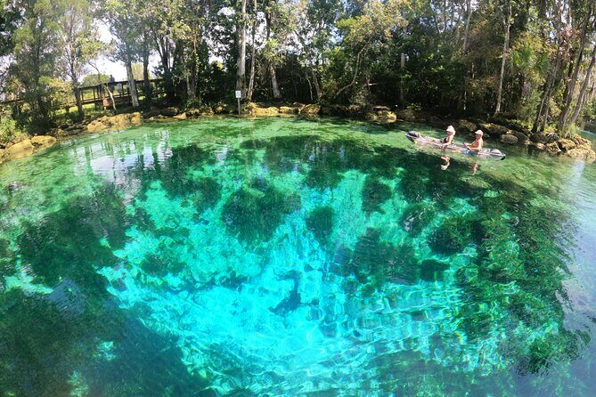 Clear Kayak Three Sisters Springs Sunset and Glow Tour - An Authentic Look at the Tour Experience