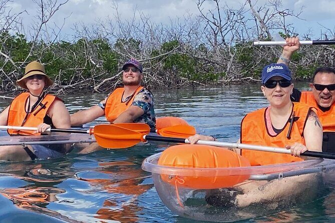 Clear Kayak Tour - The Sum Up