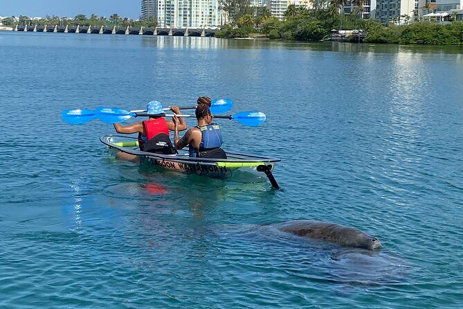 Clear Kayak Tour in Condado Lagoon - Is This Tour Worth It?
