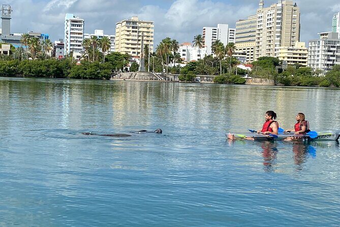 Clear Kayak Tour in Condado Lagoon - Who Should Sign Up?