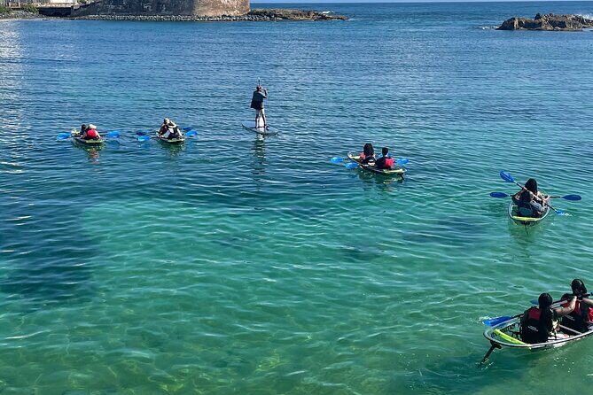 Clear Kayak Tour in Condado Lagoon - FAQs