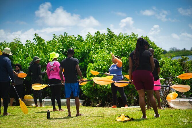 Clear Kayak Tour in Mangrove Antigua - The Value of a Small Group Experience