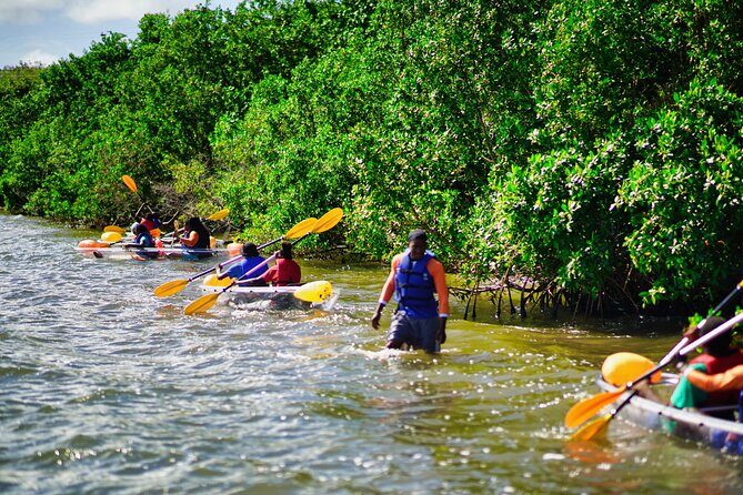 Clear Kayak Tour in Mangrove Antigua - Practical Tips