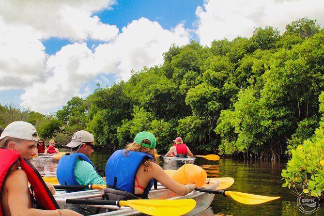 Clear Kayak Tour in Mangrove Antigua - The Sum Up: Who Would Love This Tour?