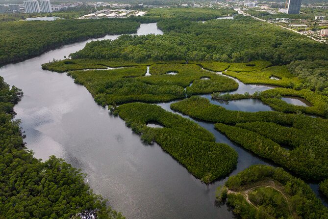 Clear Kayak Tour in North Miami Beach - Mangrove Tunnels - Deep Dive: The Experience and Its Value