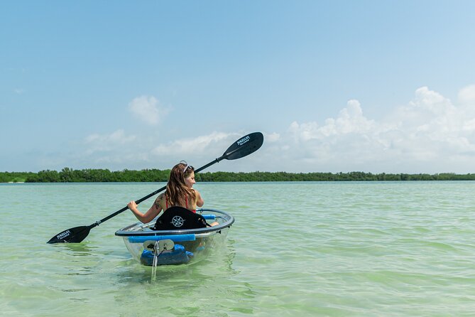 Clear Kayak Tour of Shell Key Preserve and Tampa Bay Area - Pricing and Value