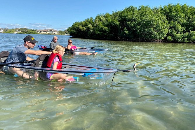 Clear Kayak Tour of Shell Key Preserve and Tampa Bay Area - Authentic Experiences and What Guests Say