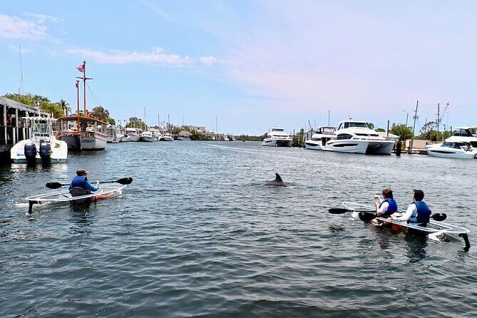 Clear Kayak Tour of Tarpon Springs Sponge Docks & Mangroves - A Detailed Look at the Tour Experience