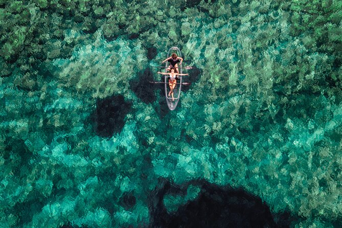 Clear Kayak Tour to Canyon, Island Cliffs & Small Cave - Wildlife and Marine Life Spotting Opportunities