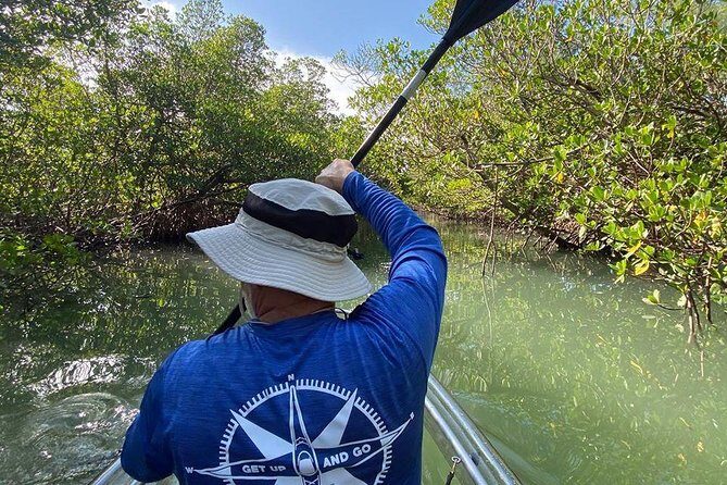 Clear Kayak Tours in Fort Pierce - What Makes This Tour Special?