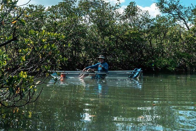 Clear Kayak Tours in Fort Pierce - Authentic Experiences & Reviews