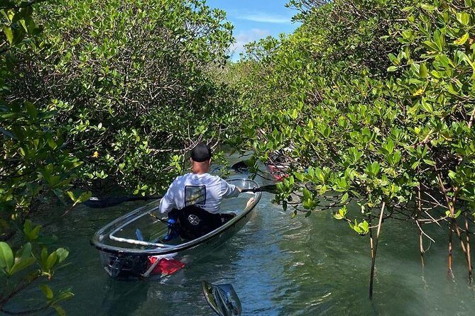 Clear Kayak Tours in Fort Pierce - FAQ