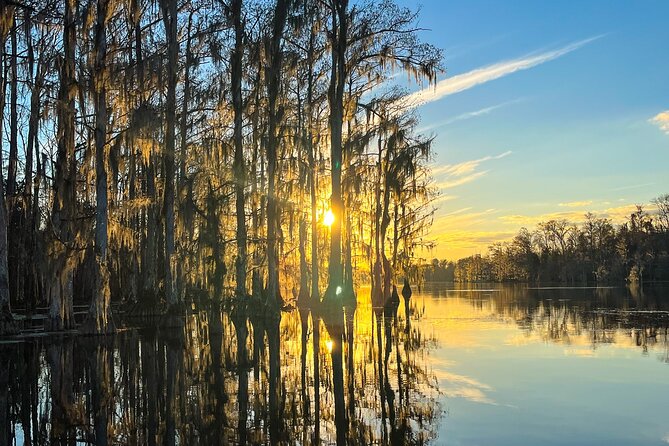 Clear Kayaking Eco Adventure Tour in Marianna - Who Should Consider This Tour