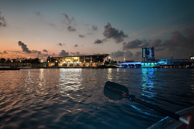 Clear Kayaking Glow Tour in Tampa Riverwalk - Key Points