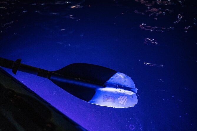 Clear LED Kayaking in Condado Lagoon - The Sum Up: Is It Worth It?