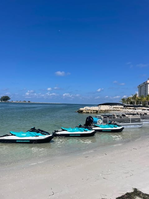 Clearwater: 1 Hour Jetski Dolphin Tour with Guide - Key Points