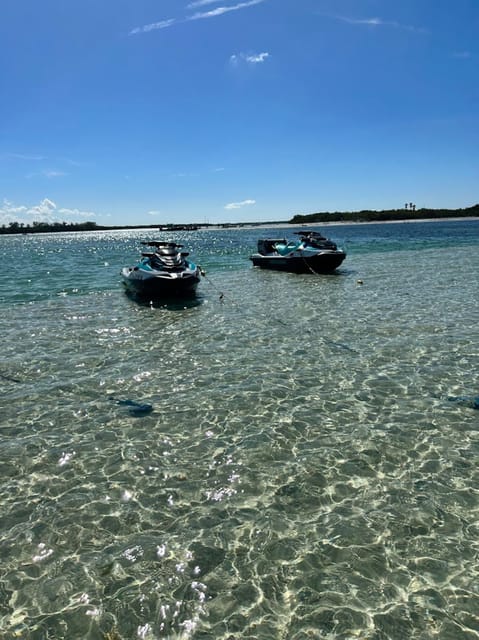 Clearwater: 1 Hour Jetski Dolphin Tour with Guide - The Authentic Touch