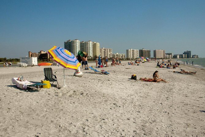 Clearwater Beach Bus Express - Detailed Review of the Clearwater Beach Bus Express