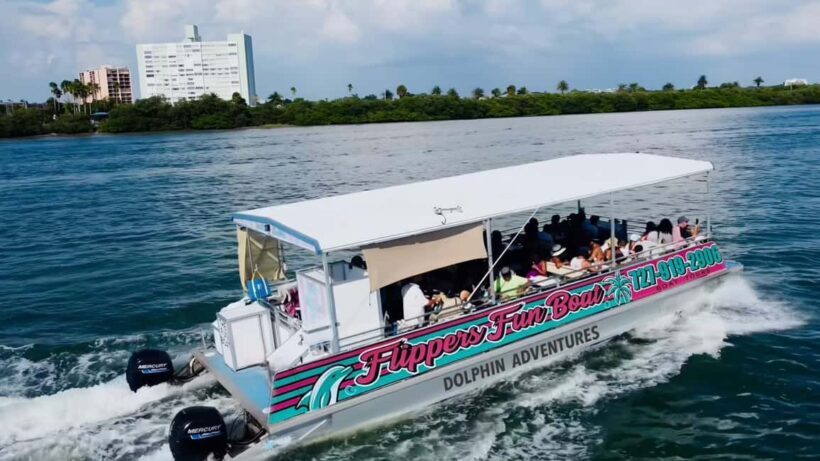Clearwater Beach: Dolphin Excursion - Flippers Fun Boat - Why This Experience Offers Great Value