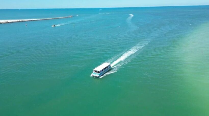 Clearwater Beach: Dolphin & Island Sandbar Cruise - An Honest Look at the Clearwater Dolphin & Sandbar Cruise