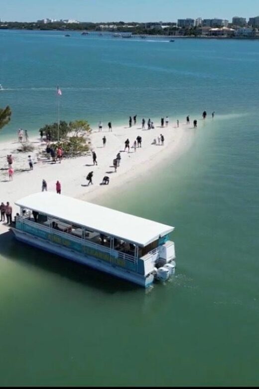 Clearwater Beach: Dolphin & Island Sandbar Cruise - Final Thoughts