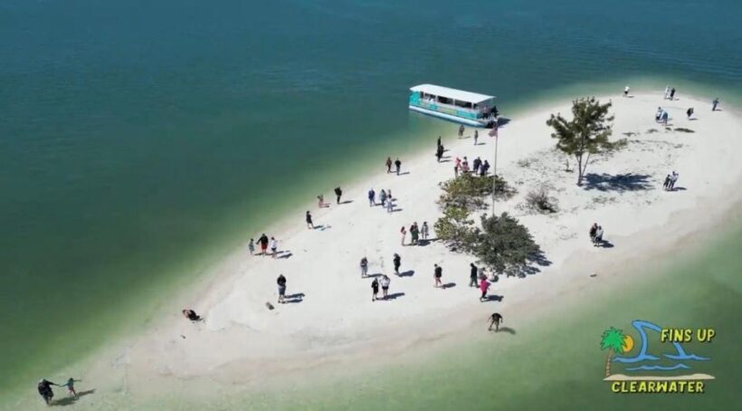 Clearwater Beach: Dolphin & Island Sandbar Cruise - FAQ