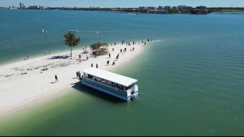 Clearwater Beach: Dolphin & Island Sandbar Cruise - Key Points