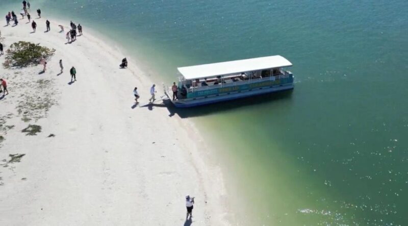 Clearwater Beach: Dolphin & Island Sandbar Cruise - Final Thoughts: Who Is This Tour Best For?